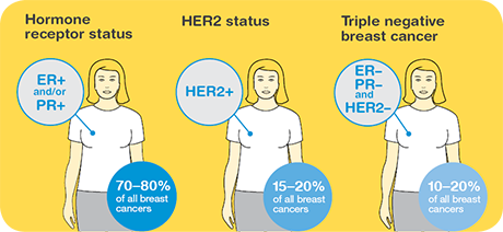 Tests on Breast Tissue | Breast Cancer | Cancer Council NSW