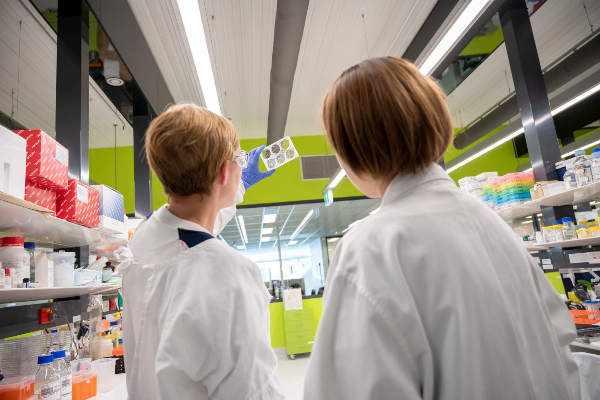 Leveraging stem-like memory T cells for effective anti-cancer mRNA ... Leveraging stem-like memory T cells for effective anti-cancer mRNA ...