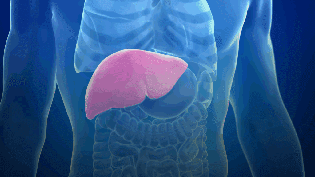 7 Ways To Reduce Your Liver Cancer Risk | Mirage News